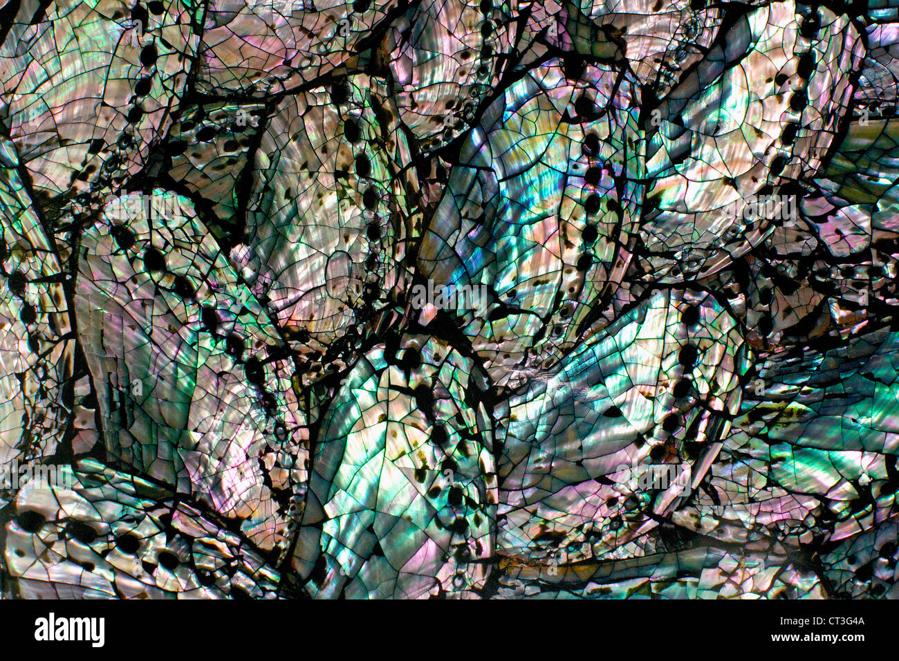 fragment of vase made from abalone shells Stock Photo - Alamy
