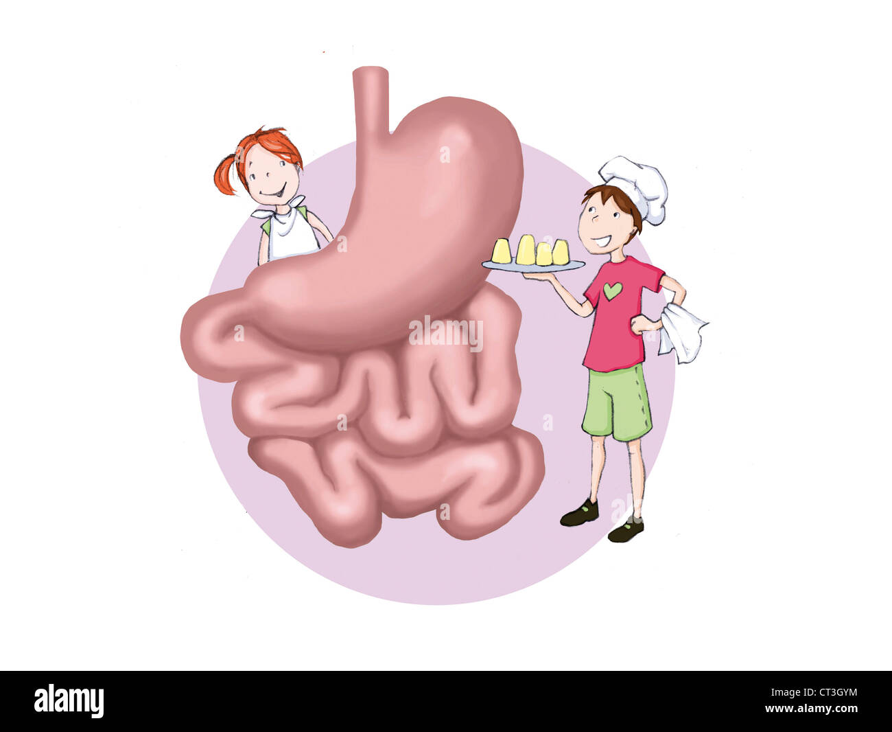 Digestive system illustration child hi-res stock photography and images ...
