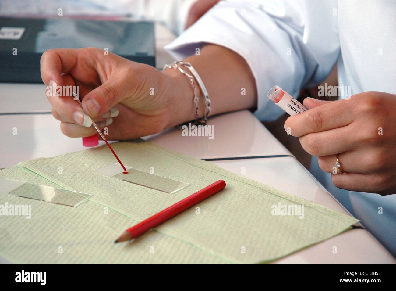 Blood smear micrograph hi-res stock photography and images - Alamy