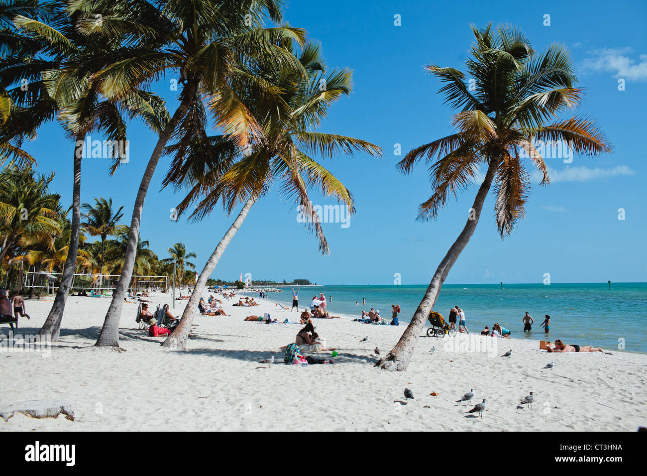 Sunny low season day at Smathers Beach, Key West, Florida Stock Photo ...