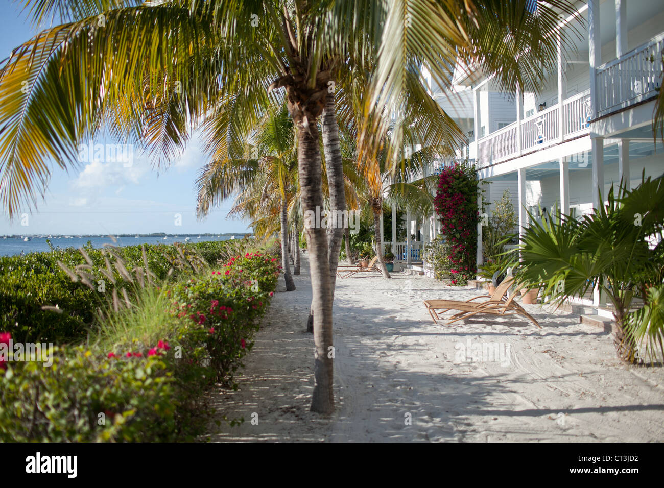 Parrot hotel hi-res stock photography and images - Alamy