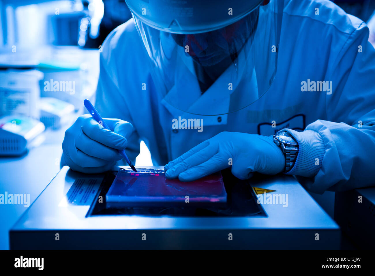 Scientist using scalpel in lab Stock Photo - Alamy