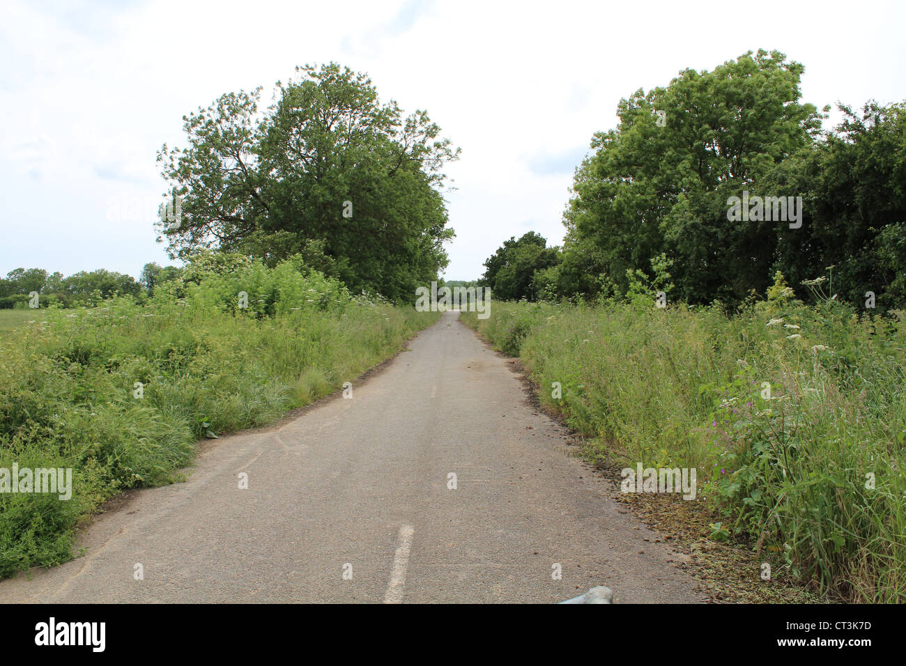 On the road to nowhere (an old abandoned lane Stock Photo - Alamy