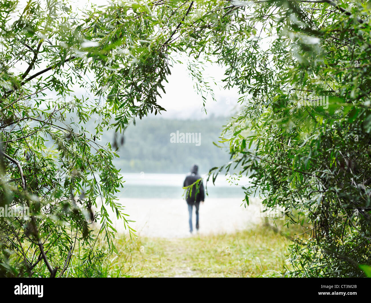 Hiker walking by rural lake Stock Photo - Alamy