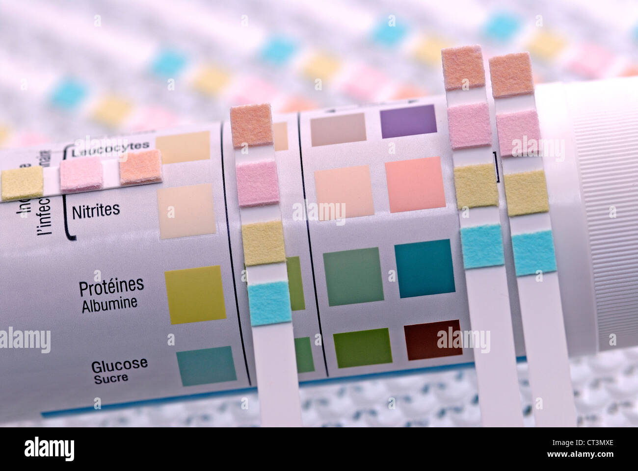 URINE TEST STRIP Stock Photo - Alamy