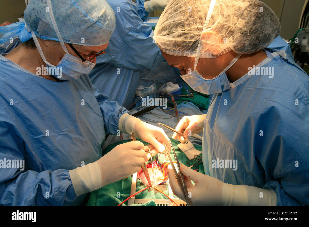 Heart lung machine hi-res stock photography and images - Alamy
