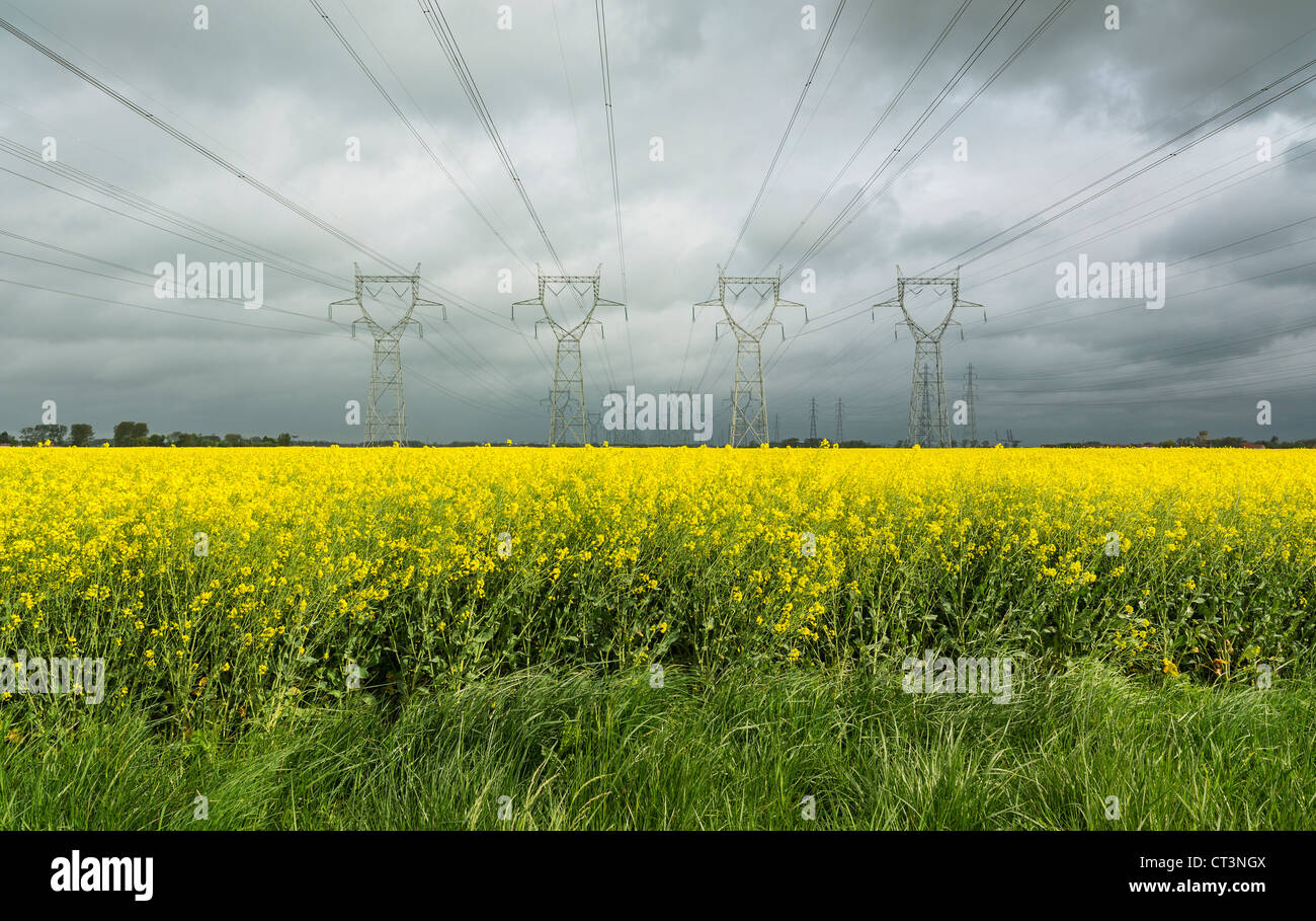 Symmetry power lines hi-res stock photography and images - Alamy