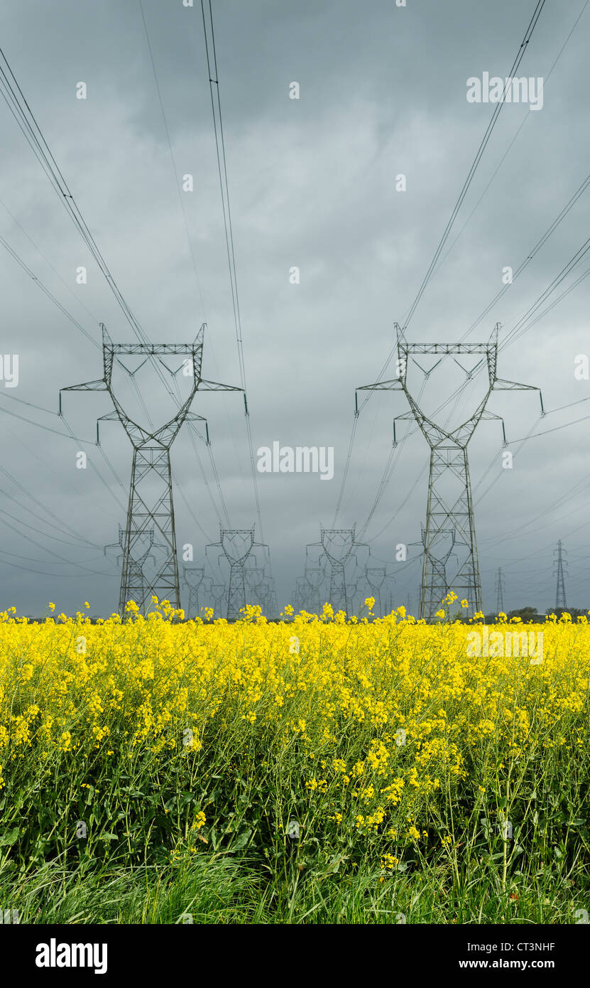 Symmetry power lines hi-res stock photography and images - Alamy