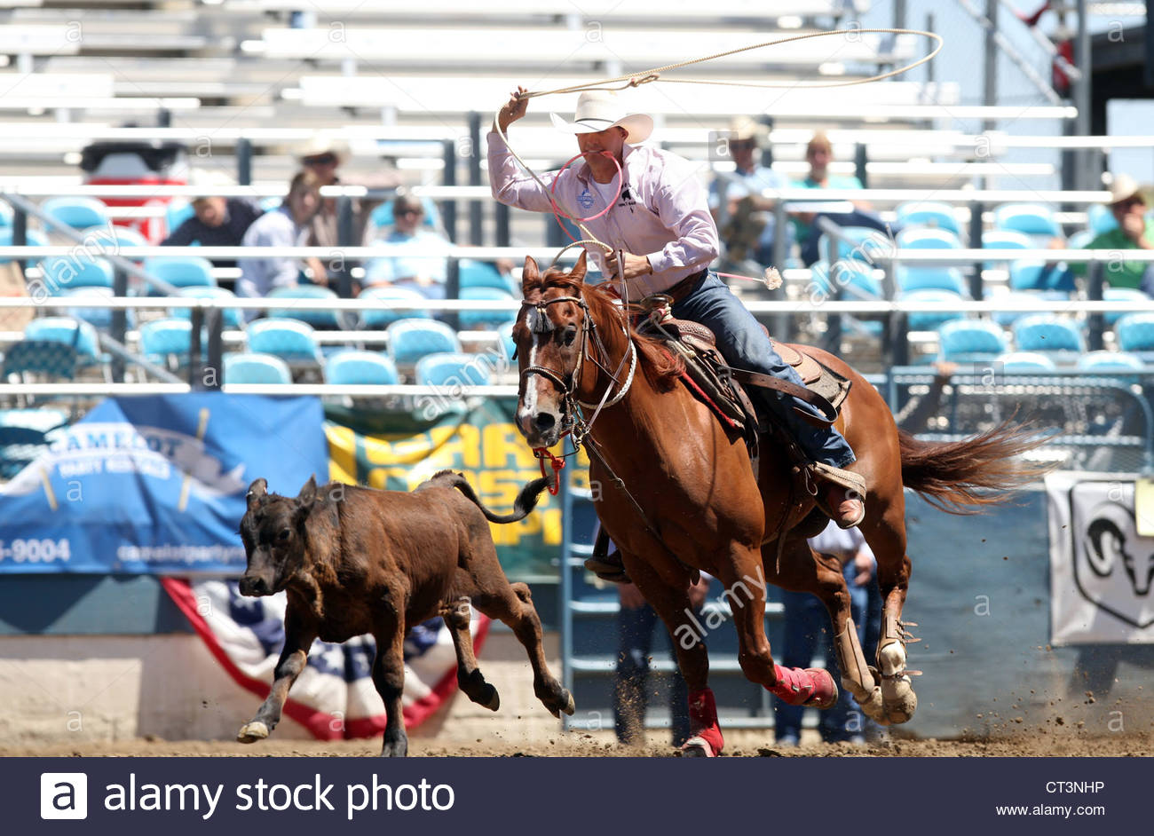 Team Roping Stock Photos & Team Roping Stock Images - Alamy