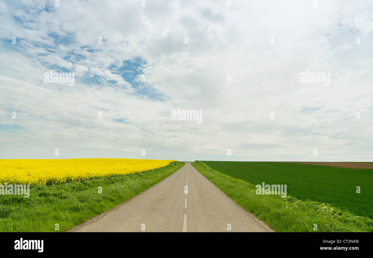 Transporting crop hi-res stock photography and images - Alamy
