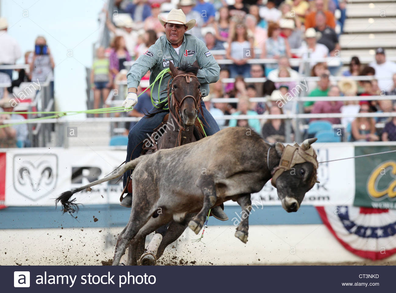 Team Roping Stock Photos & Team Roping Stock Images - Alamy