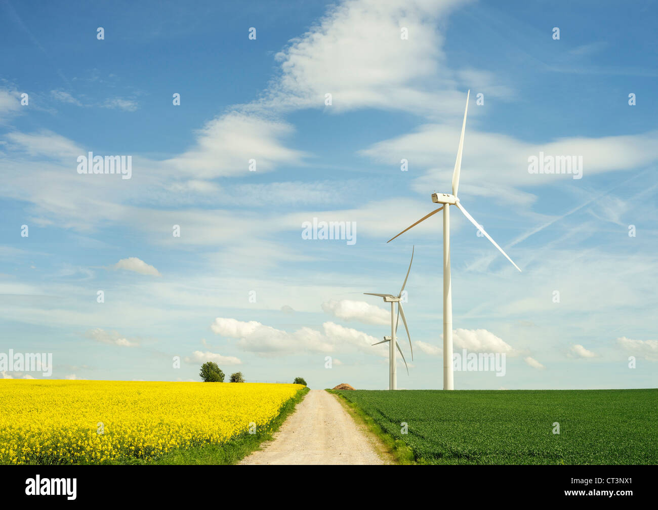 Alternative farming crop hi-res stock photography and images - Alamy