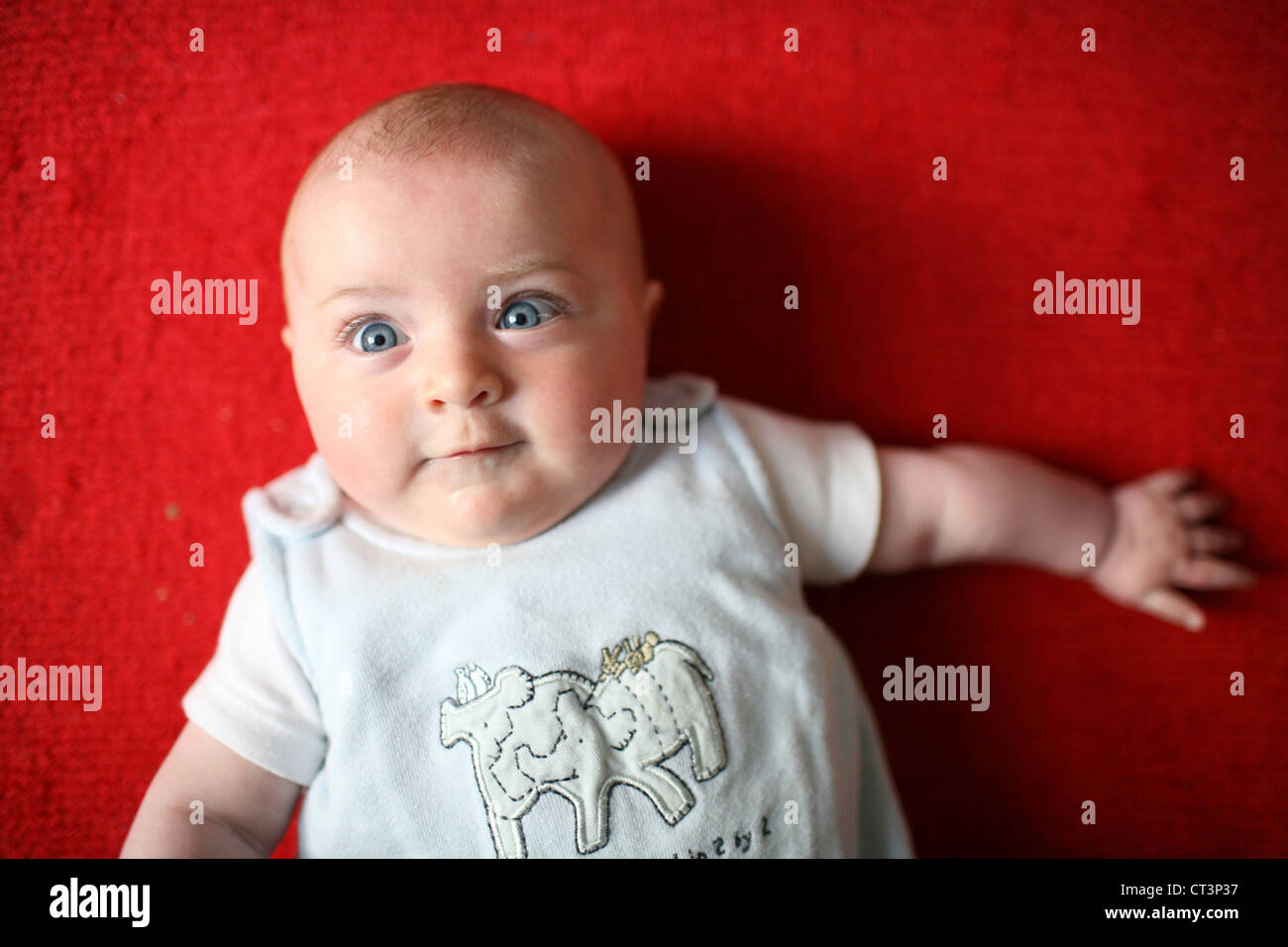 PORTRAIT OF AN INFANT Stock Photo - Alamy