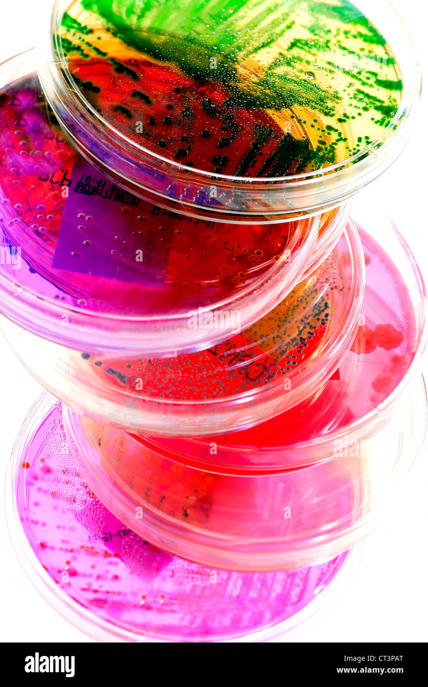 Petri dishes with instruments hi-res stock photography and images - Alamy