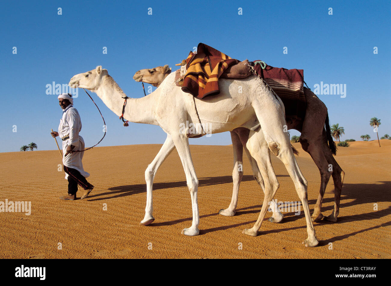 Timimoun people hi-res stock photography and images - Alamy