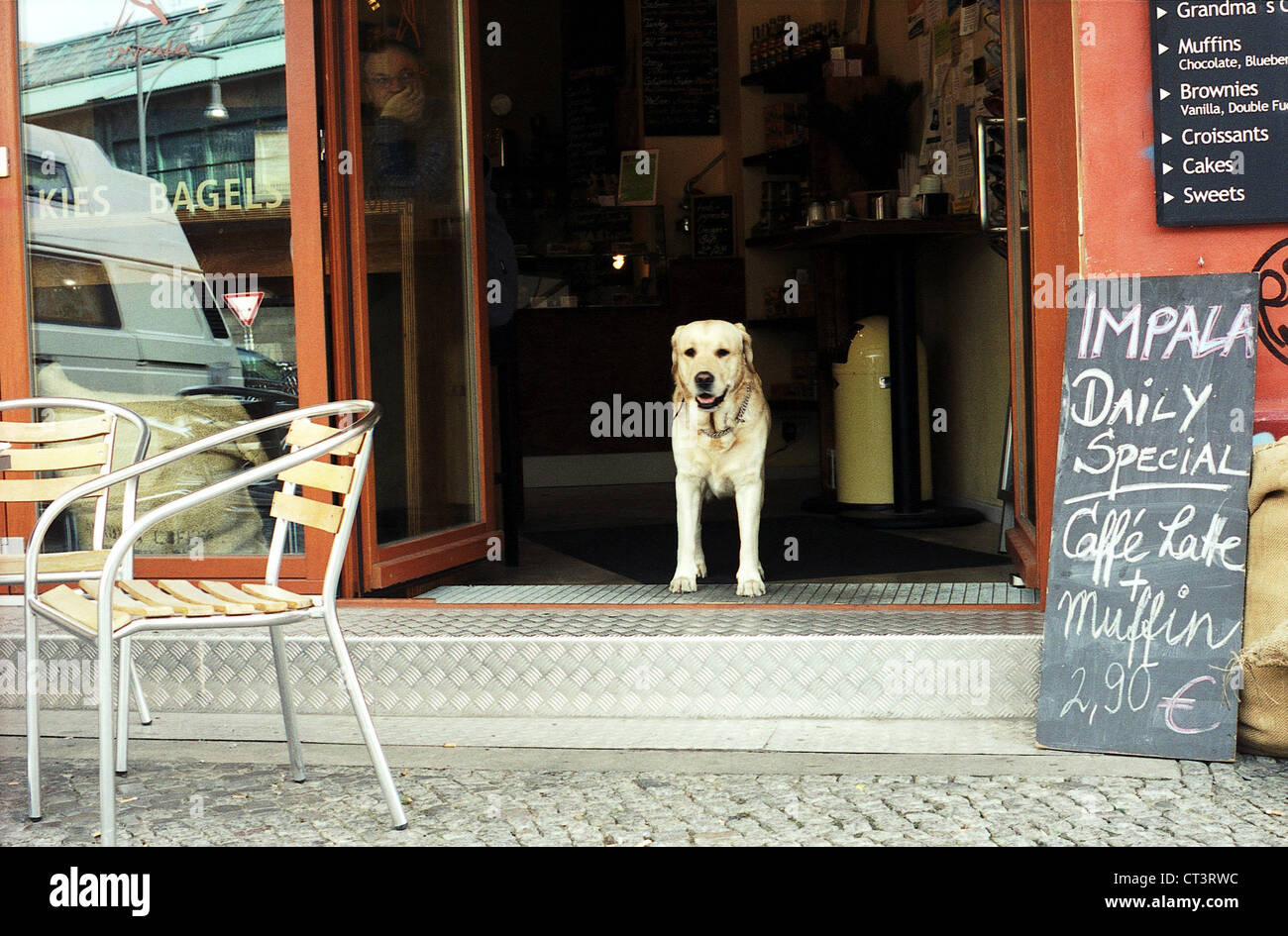 Man dog cafe coffee hi-res stock photography and images - Alamy