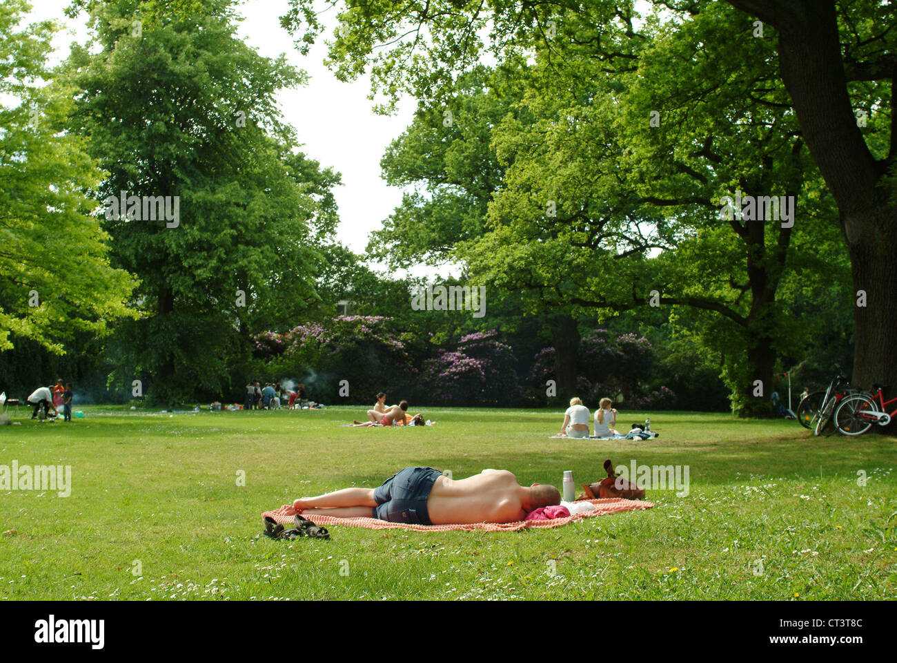 Hindenburg Park at the Hamburg Elbe Stock Photo - Alamy