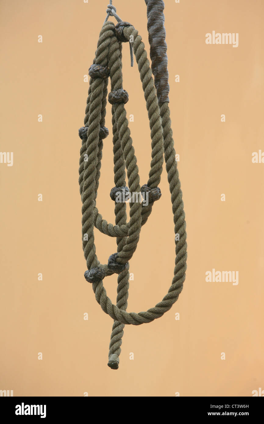 Resistance cord hi-res stock photography and images - Alamy