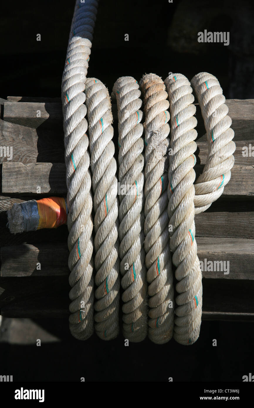 Resistance cord hi-res stock photography and images - Alamy