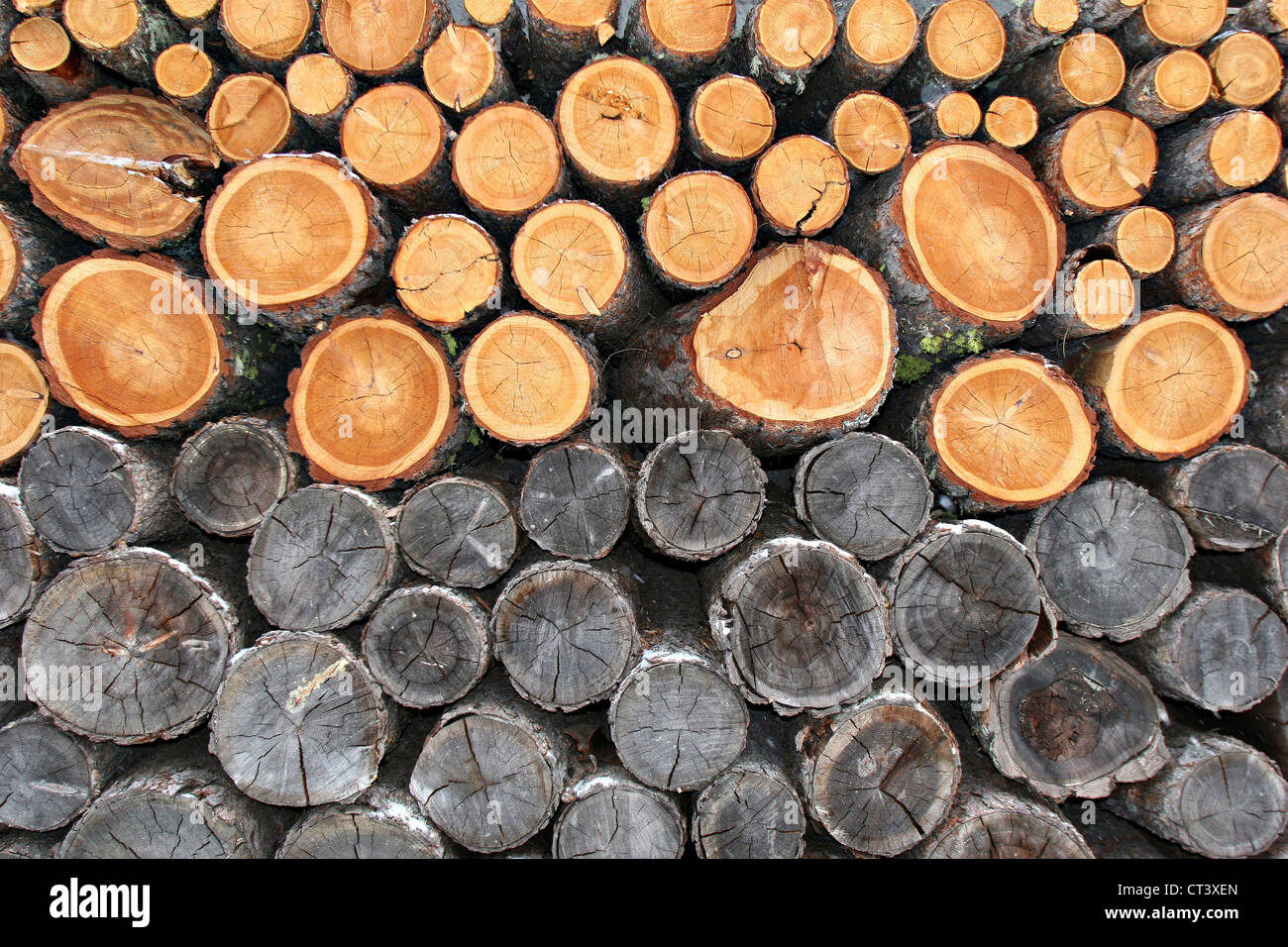 Aging batteries hi-res stock photography and images - Alamy