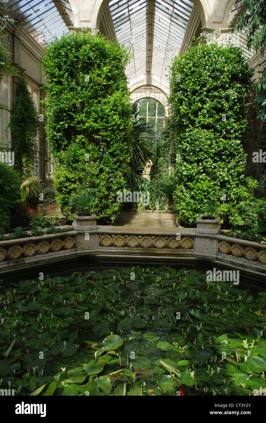 Interior view of the Orangery, Castle Ashby, Northamptonshire Stock ...