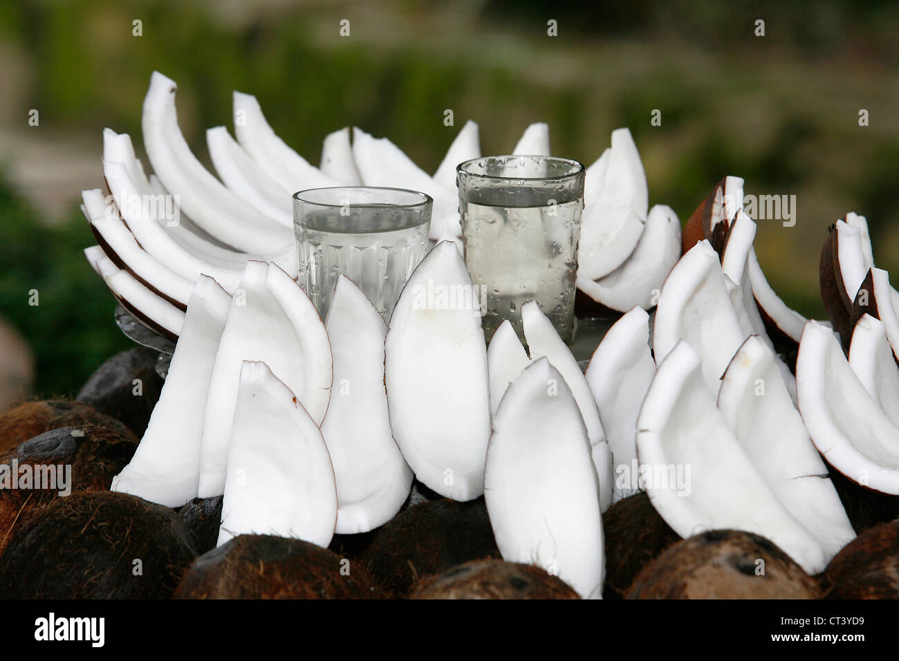 Cool fresh coconuts hi-res stock photography and images - Alamy
