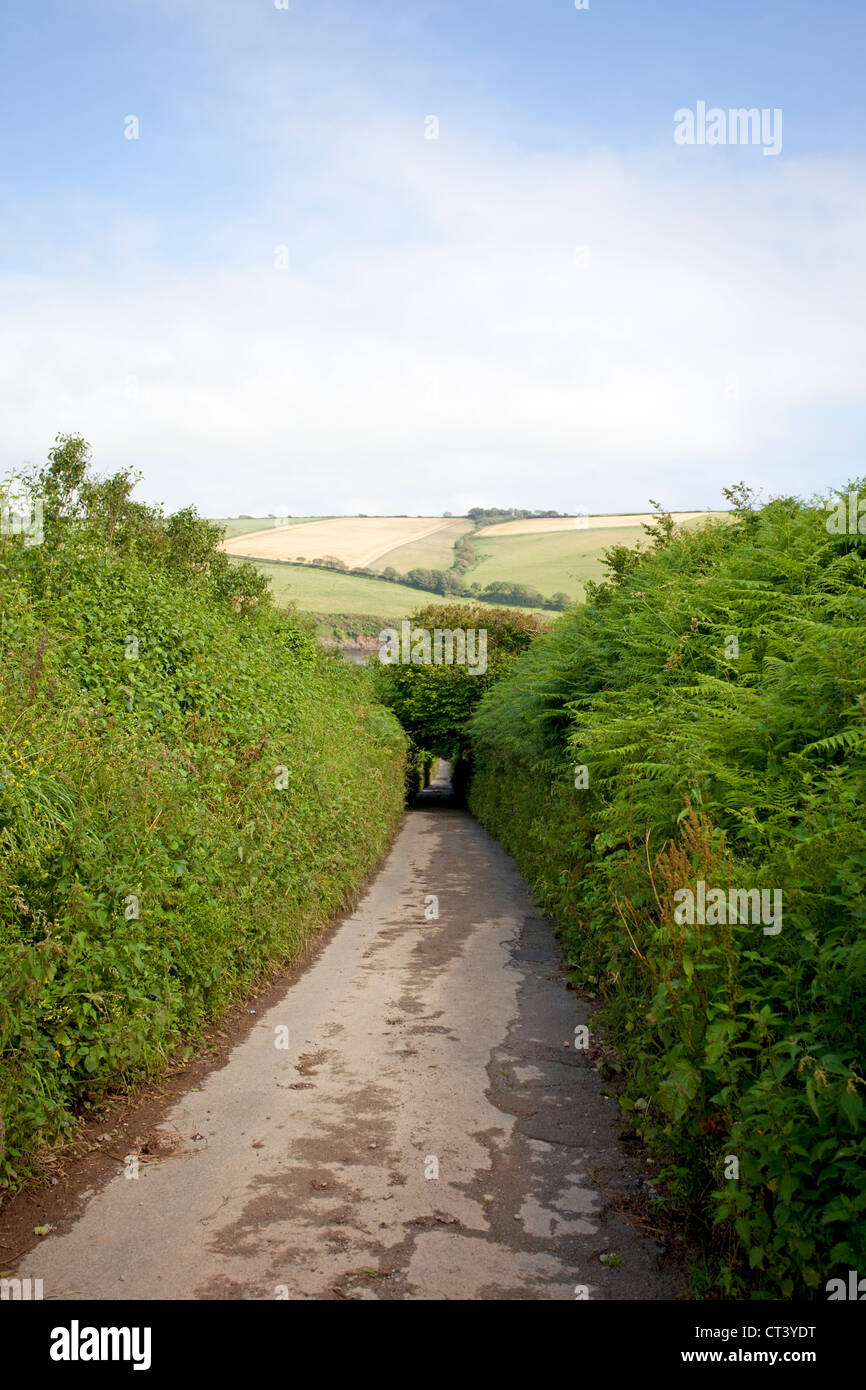 Mothercombe devon hi-res stock photography and images - Alamy