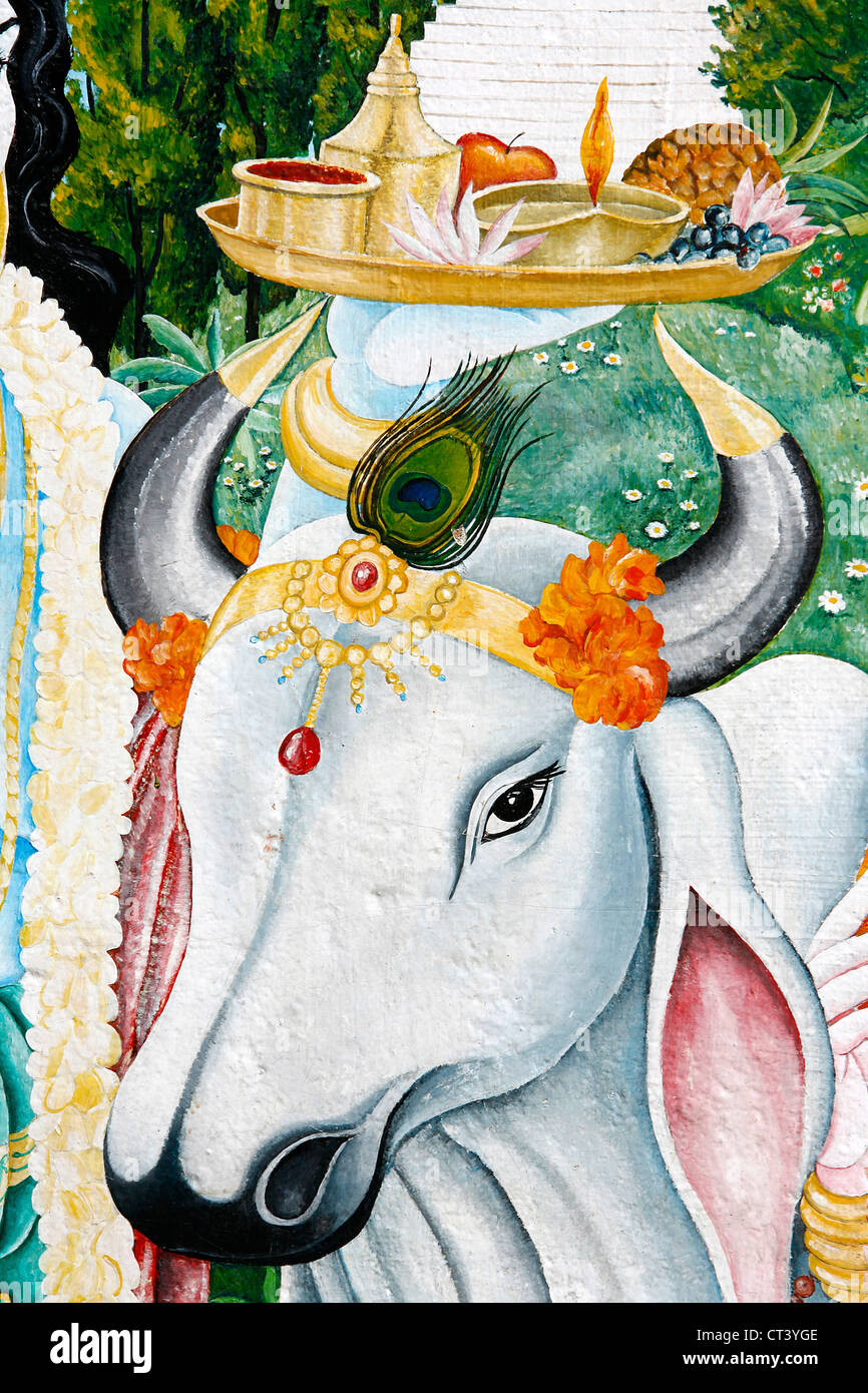 God cow hi-res stock photography and images - Alamy