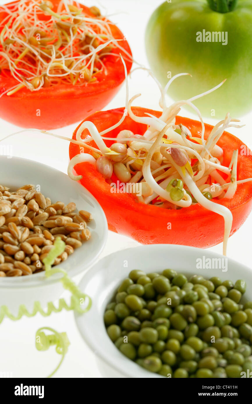 Soya seed germination hi-res stock photography and images - Alamy