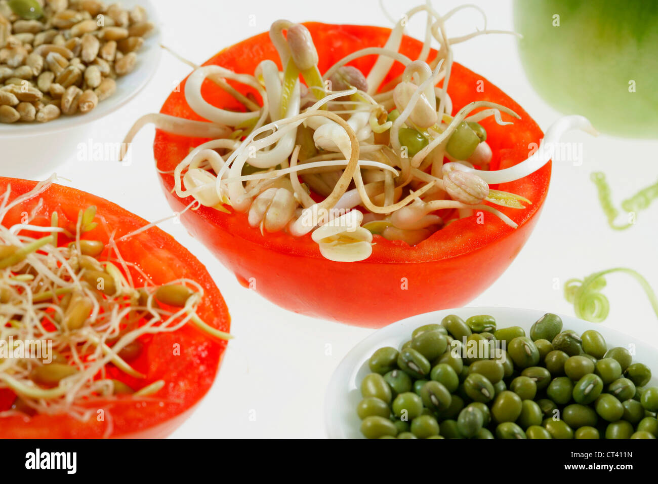 Soya seed germination hi-res stock photography and images - Alamy