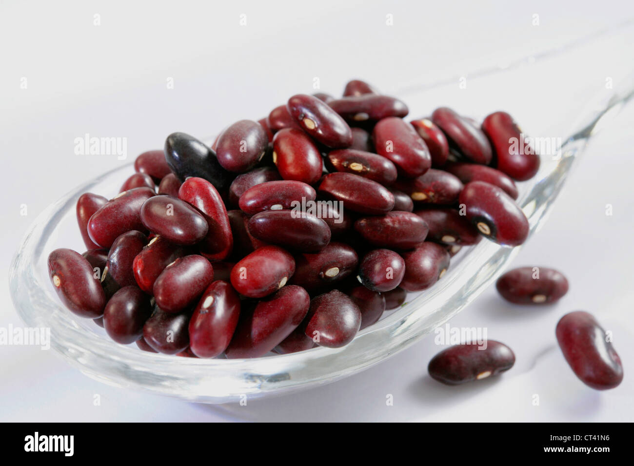 Pulses Trace High Resolution Stock Photography and Images - Alamy