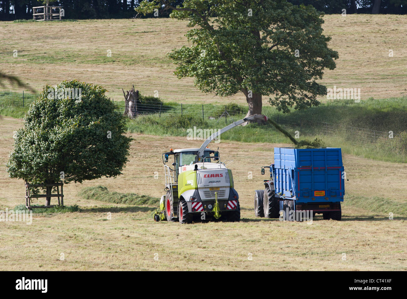 Farm machines harvesting silage 2 Stock Photo - Alamy