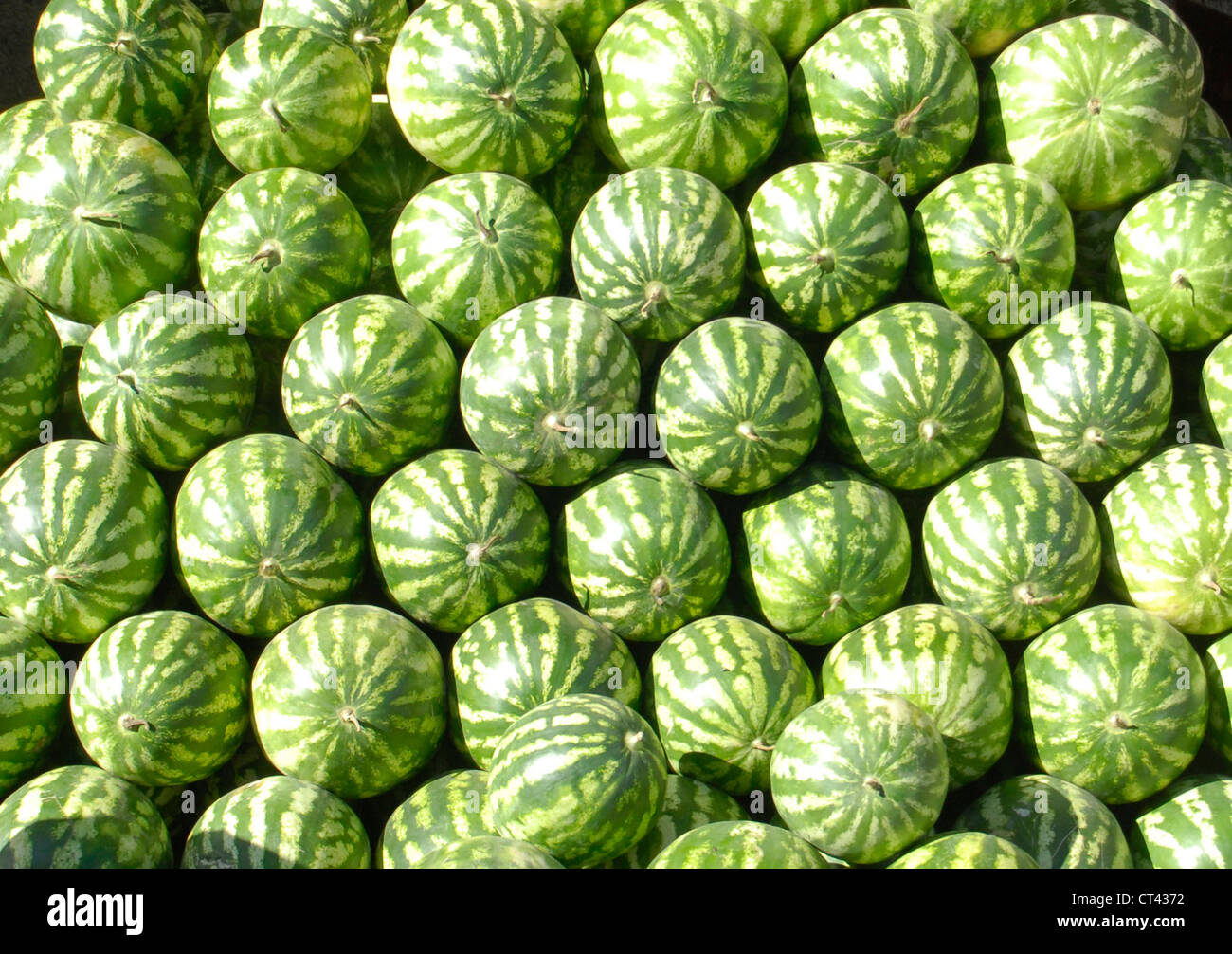 Melon bulk hi-res stock photography and images - Alamy