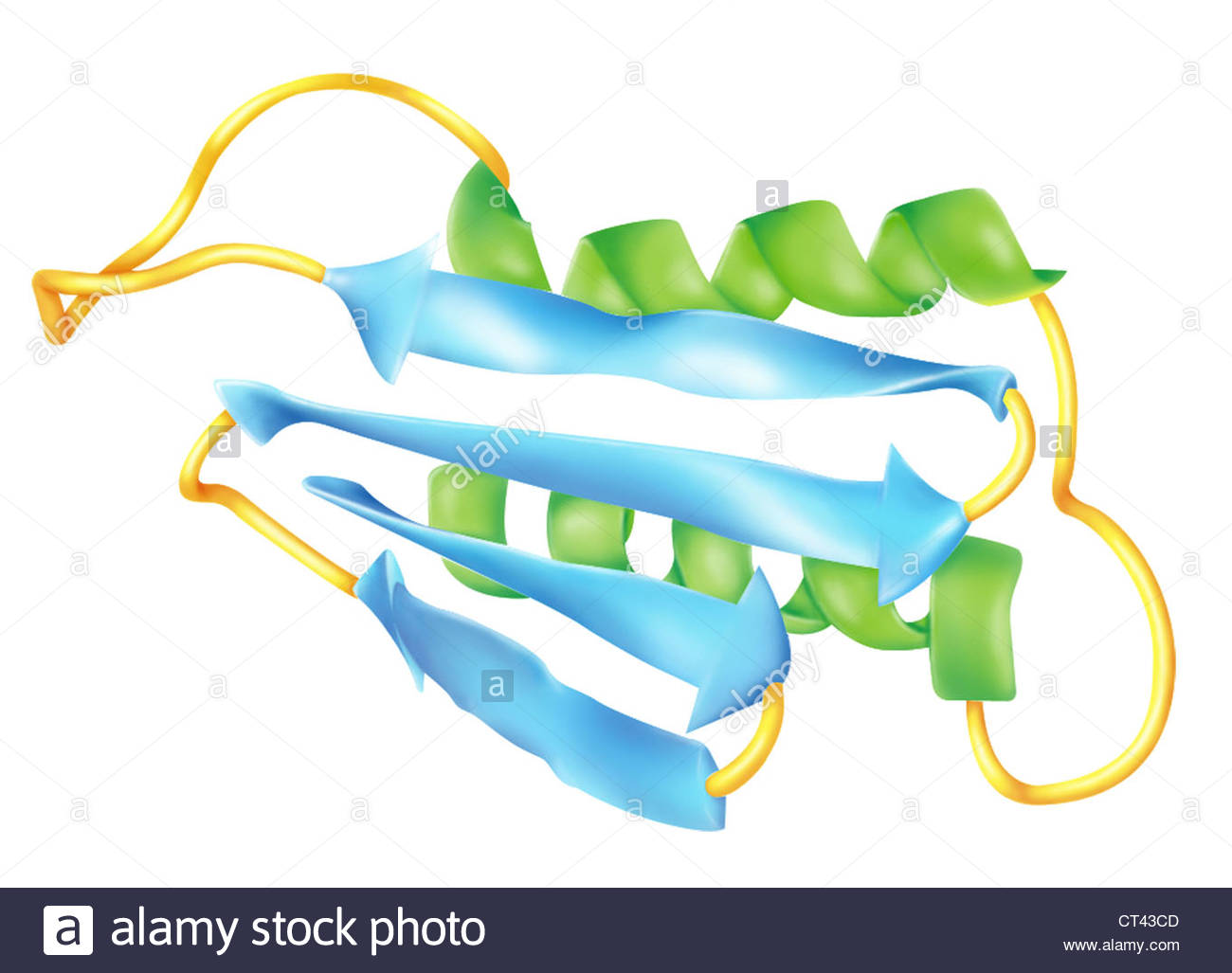 Prion Disease Stock Photos & Prion Disease Stock Images - Alamy