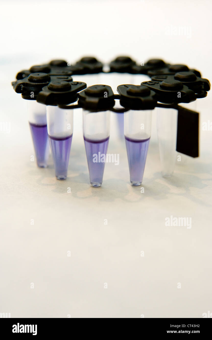 Pcr detection hi-res stock photography and images - Alamy
