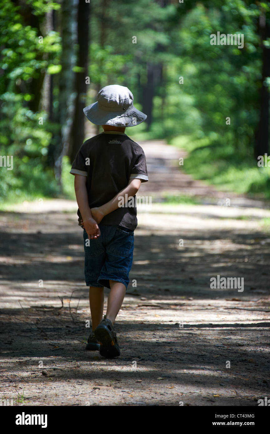 Young boy walking along walkway in forest summer Stock Photo - Alamy