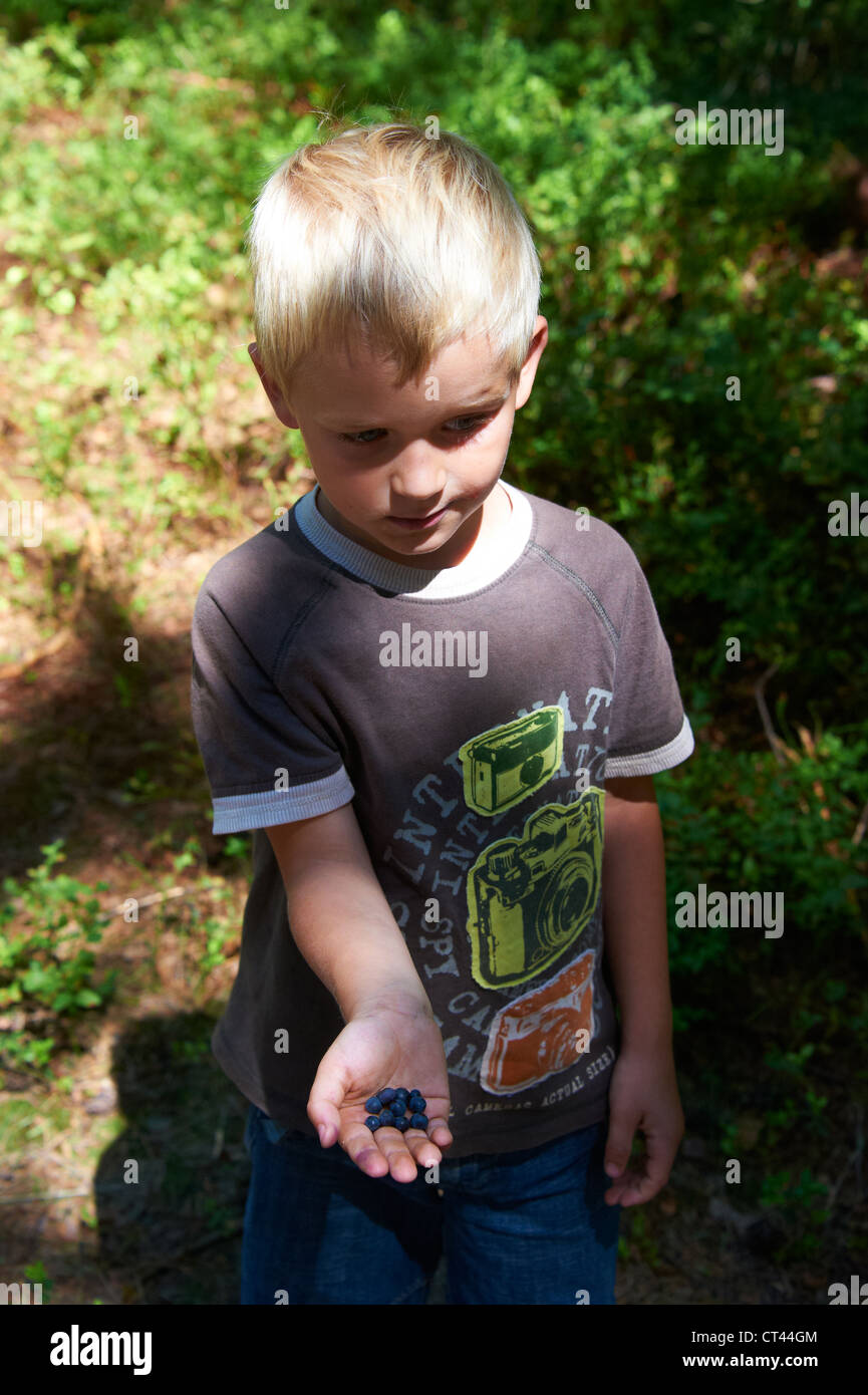 Little child blond Boy Eating Blueberries in summer forest Stock Photo ...