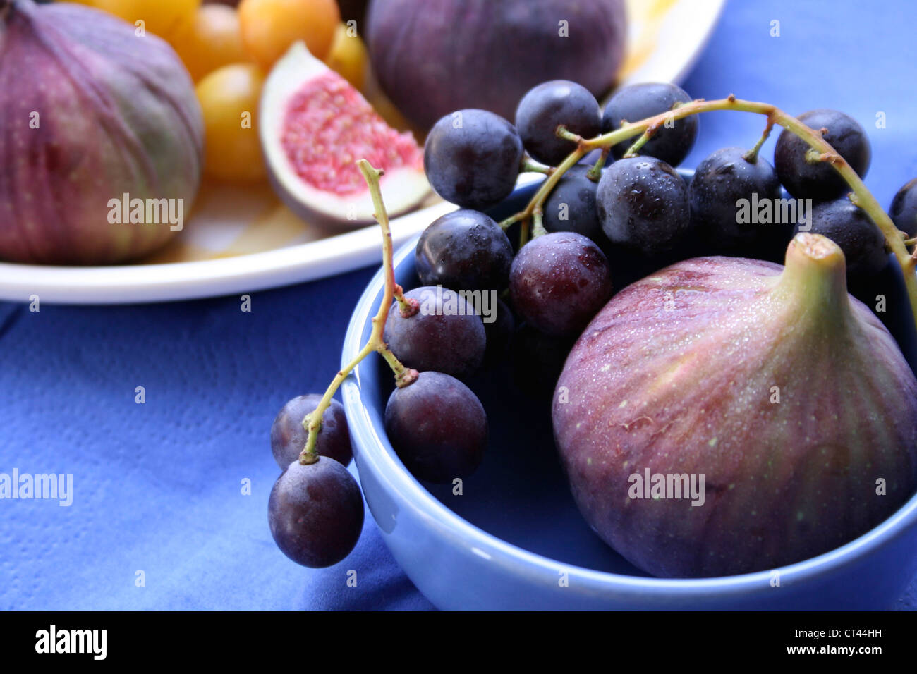 Miscellaneous elements hi-res stock photography and images - Alamy