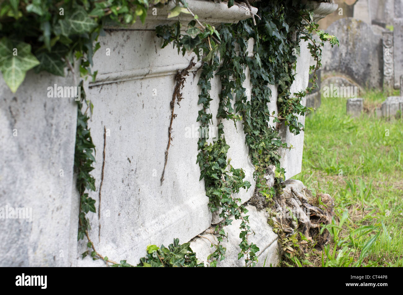 stone casket monument with ivy Stock Photo - Alamy