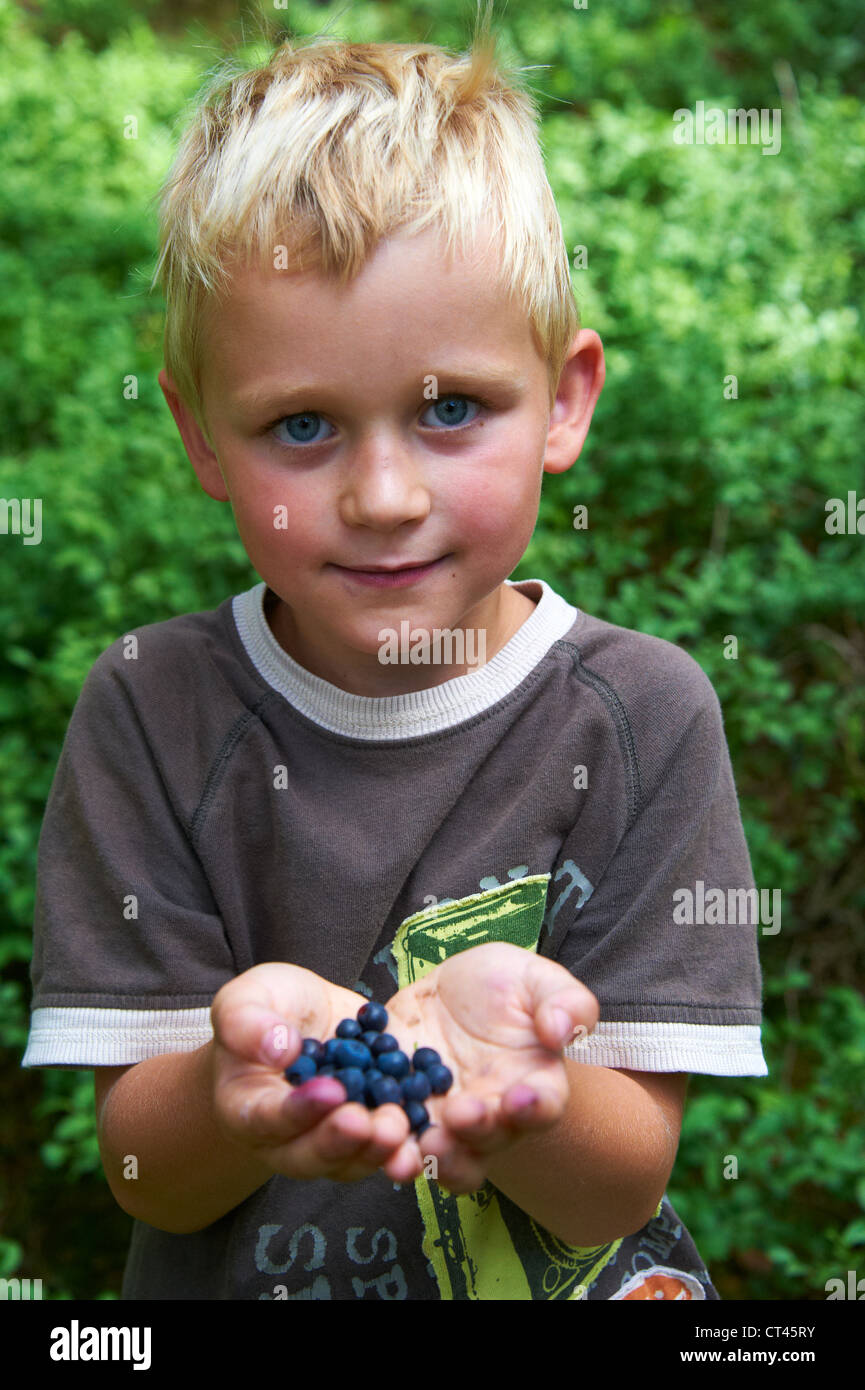 Little child blond Boy Eating Blueberries in summer forest Stock Photo ...