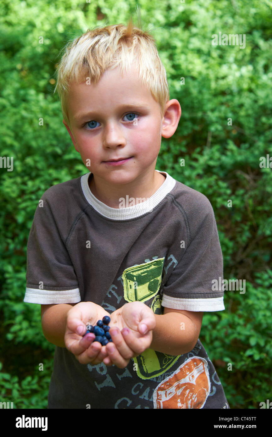 Little child blond Boy Eating Blueberries in summer forest Stock Photo ...
