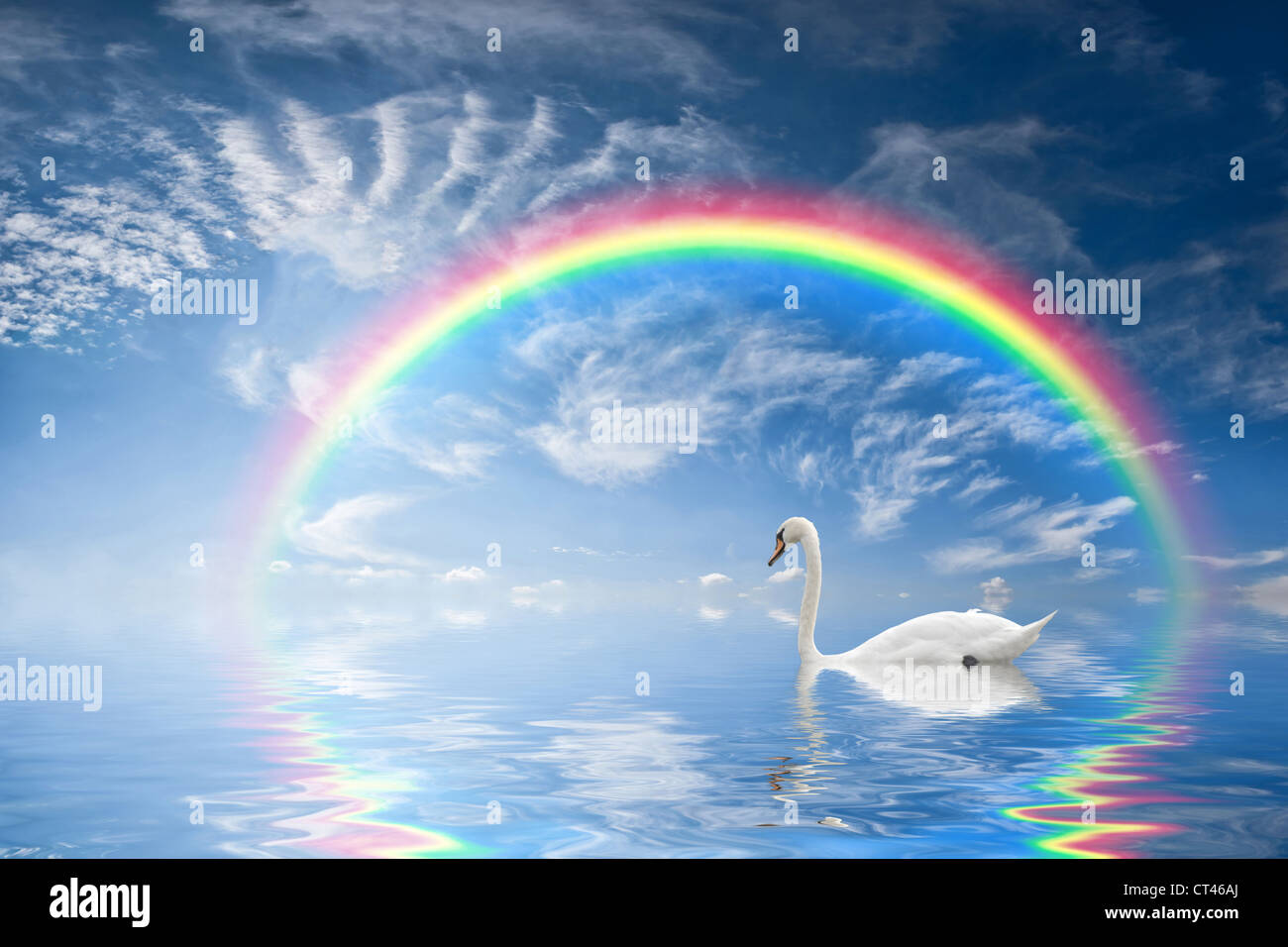 Beautiful seascape with rainbow reflection in water and a floating swan ...