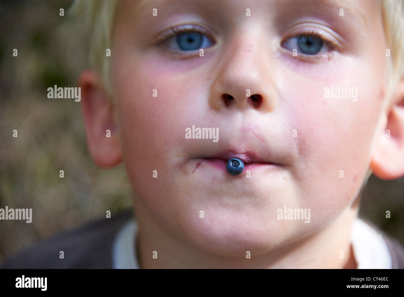 Little child blond Boy Eating Blueberries in summer forest Stock Photo ...