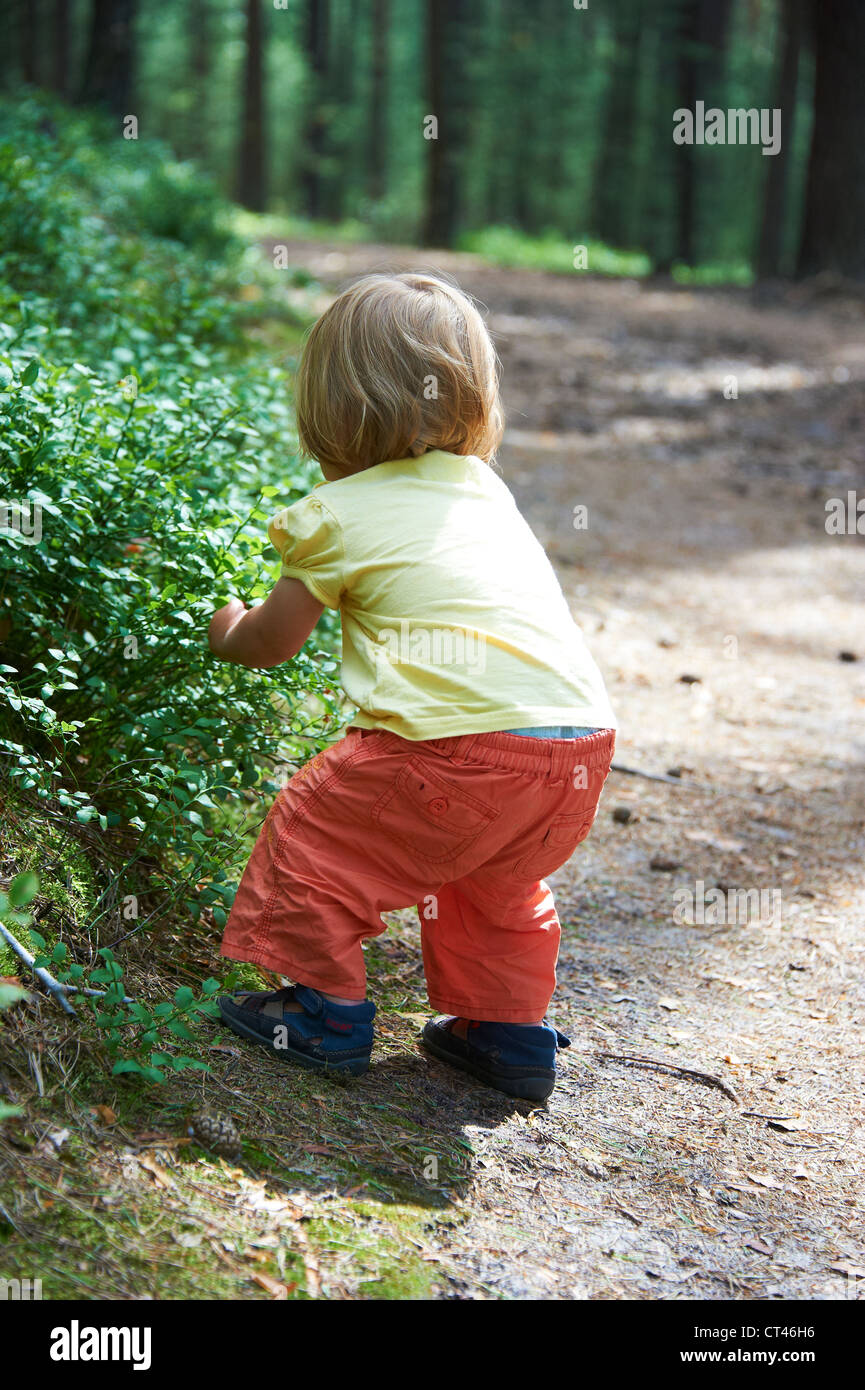 Child baby girl eating blueberries in summer forest Stock Photo - Alamy