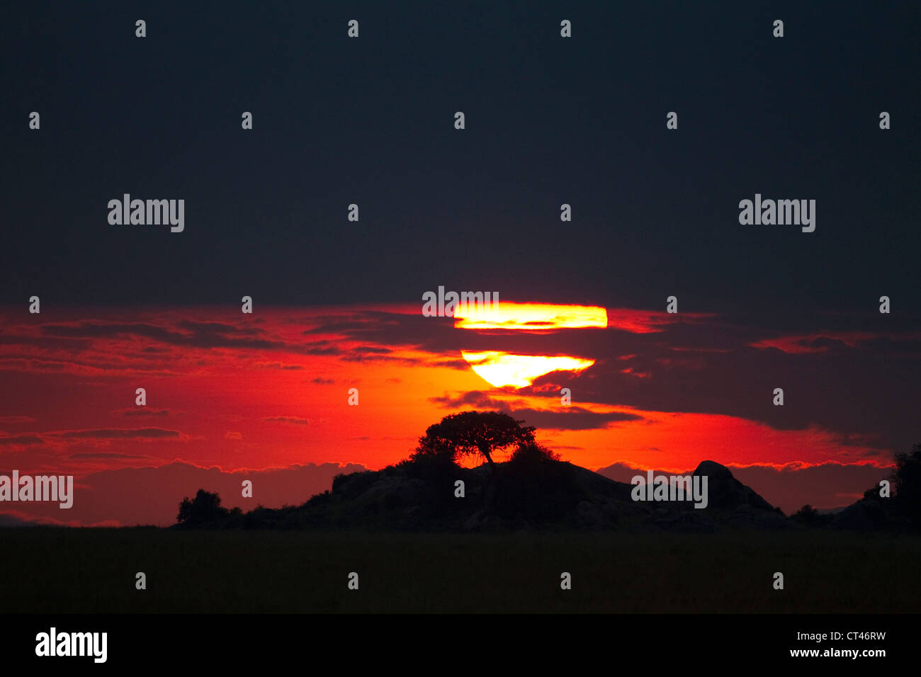 Kopjes hi-res stock photography and images - Alamy