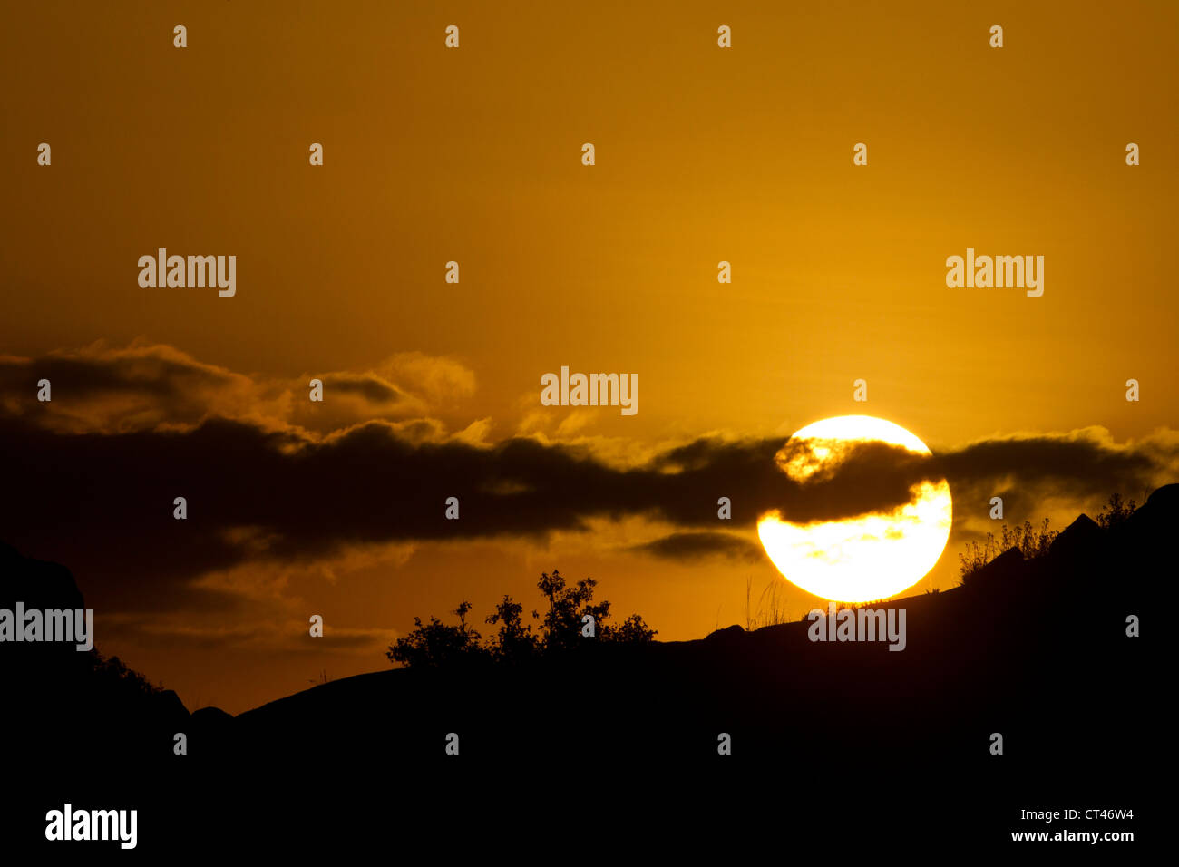 Simba kopje hi-res stock photography and images - Alamy