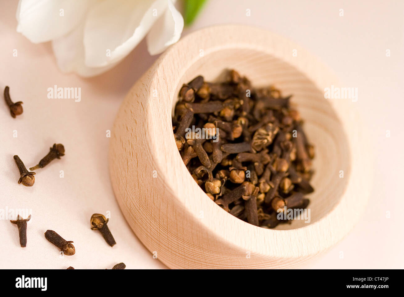 Clove plants hi-res stock photography and images - Alamy