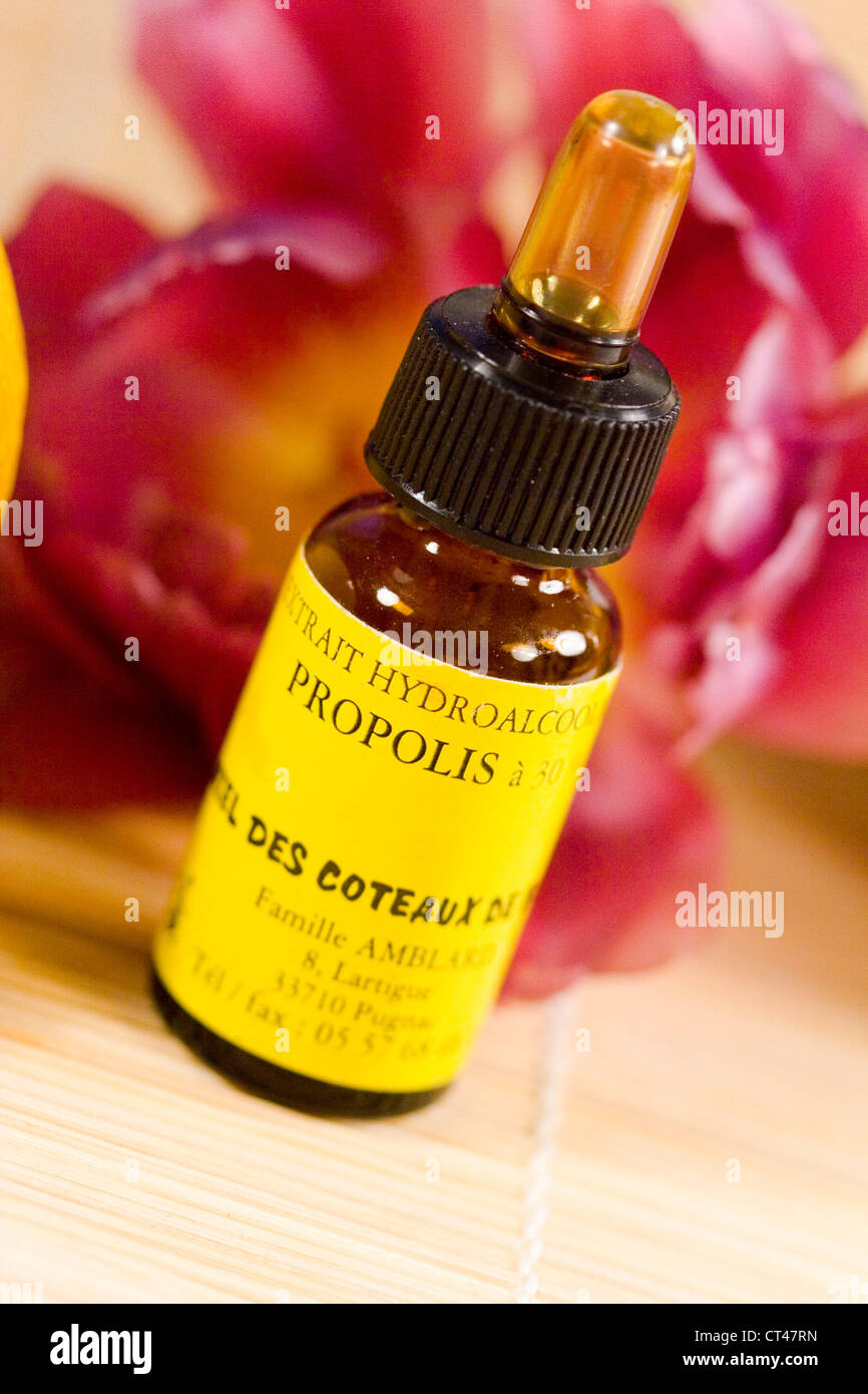 HERBAL MEDICINE, PROPOLIS Stock Photo - Alamy