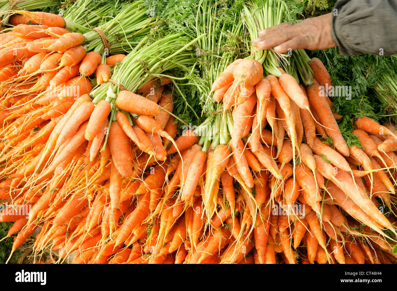 Carrots north africa hi-res stock photography and images - Alamy
