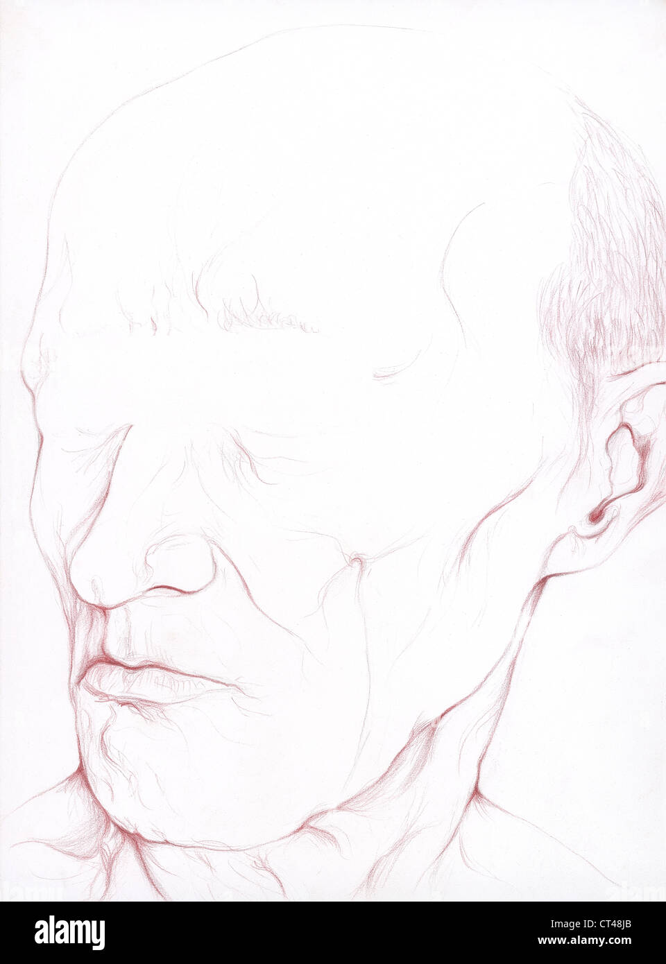 Sem cephalic heads artwork art work drawing drawings illustration ...